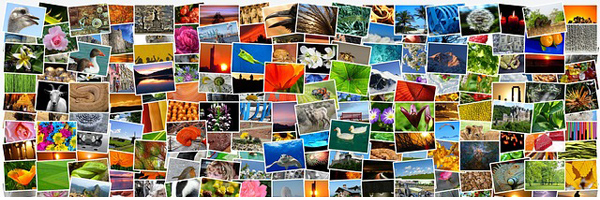 22 More Sites for Free Public Domain Stock Images | PaySimple